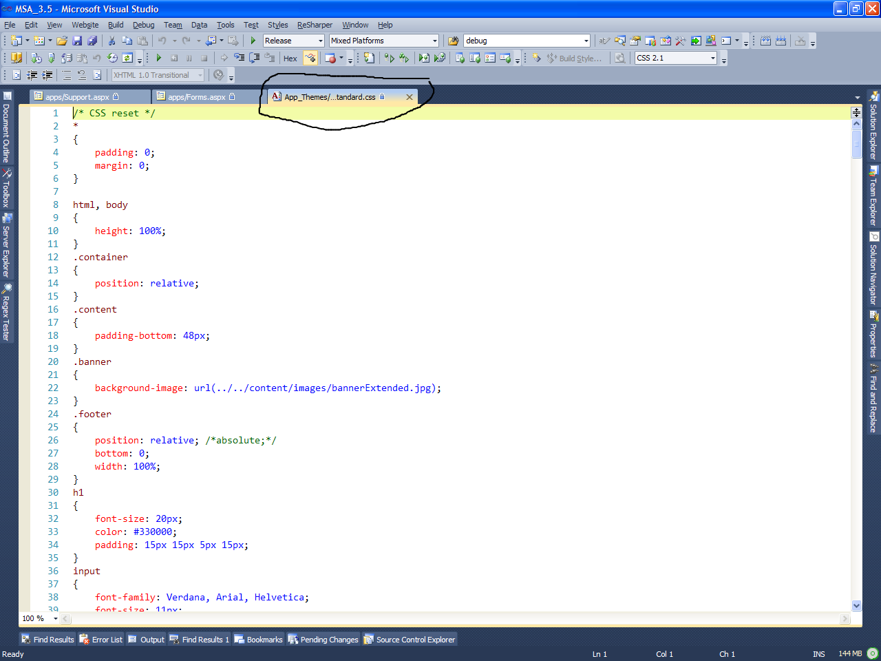 How to make open tabs display the filename only without path? – ReSharper Support | JetBrains